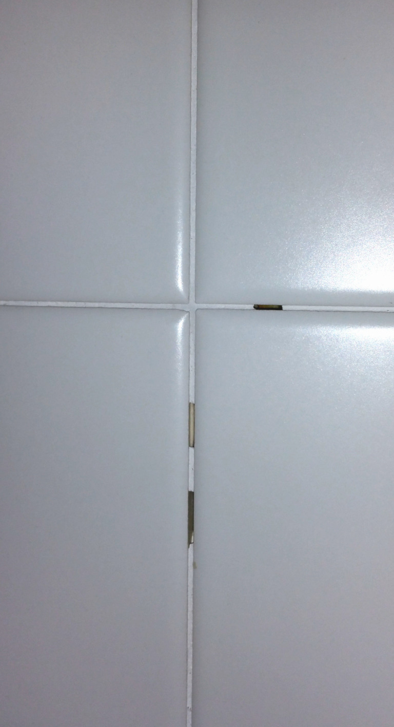 Grout Gaps in Tiled Bathroom Wall - How to Fix? : r/HomeImprovement